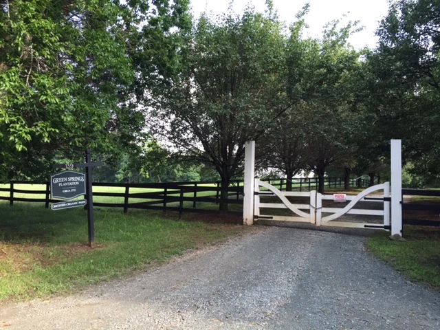 A Moment in Time || Rooted in History