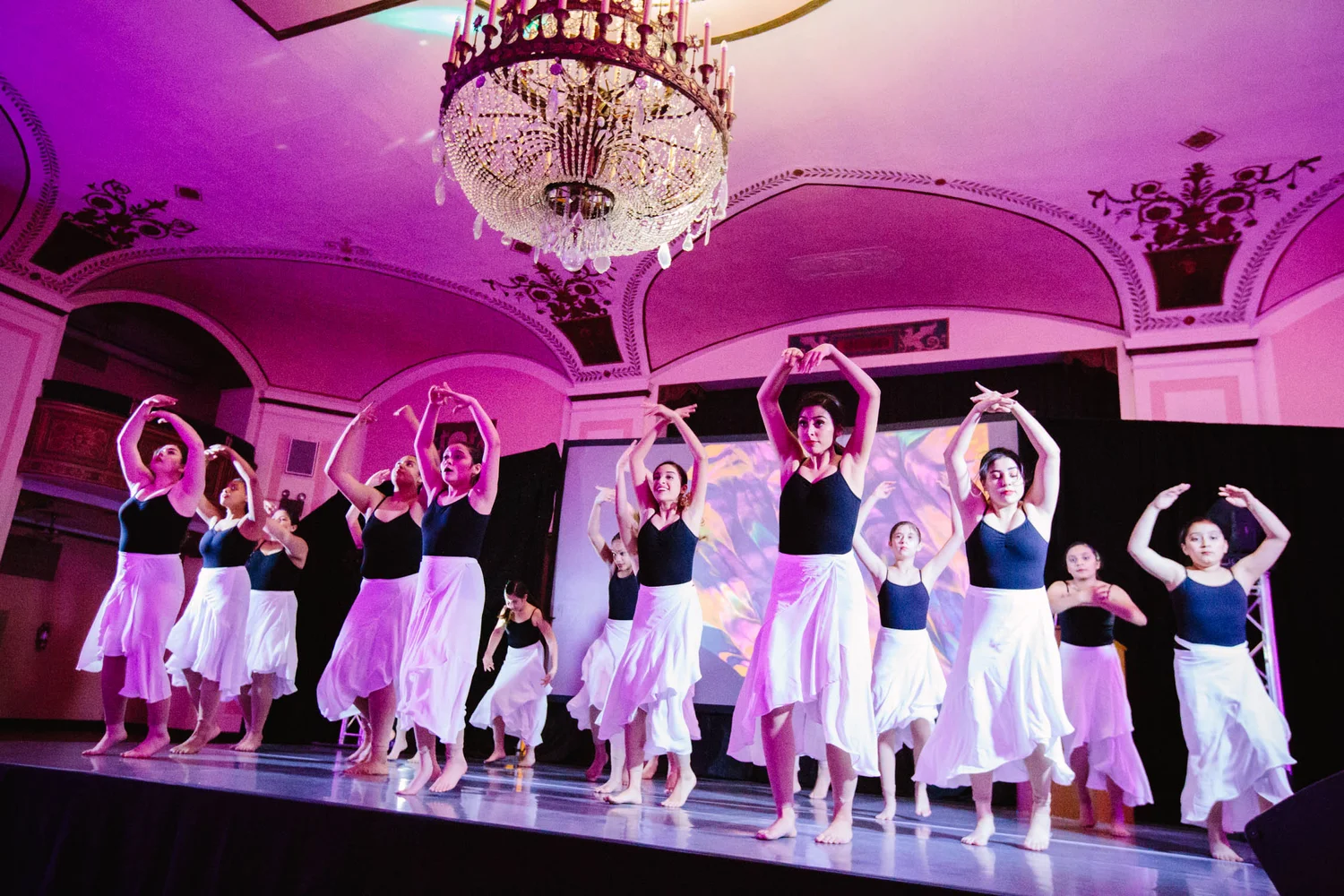 Celebrating 20 Years of Living Arts — Living Arts