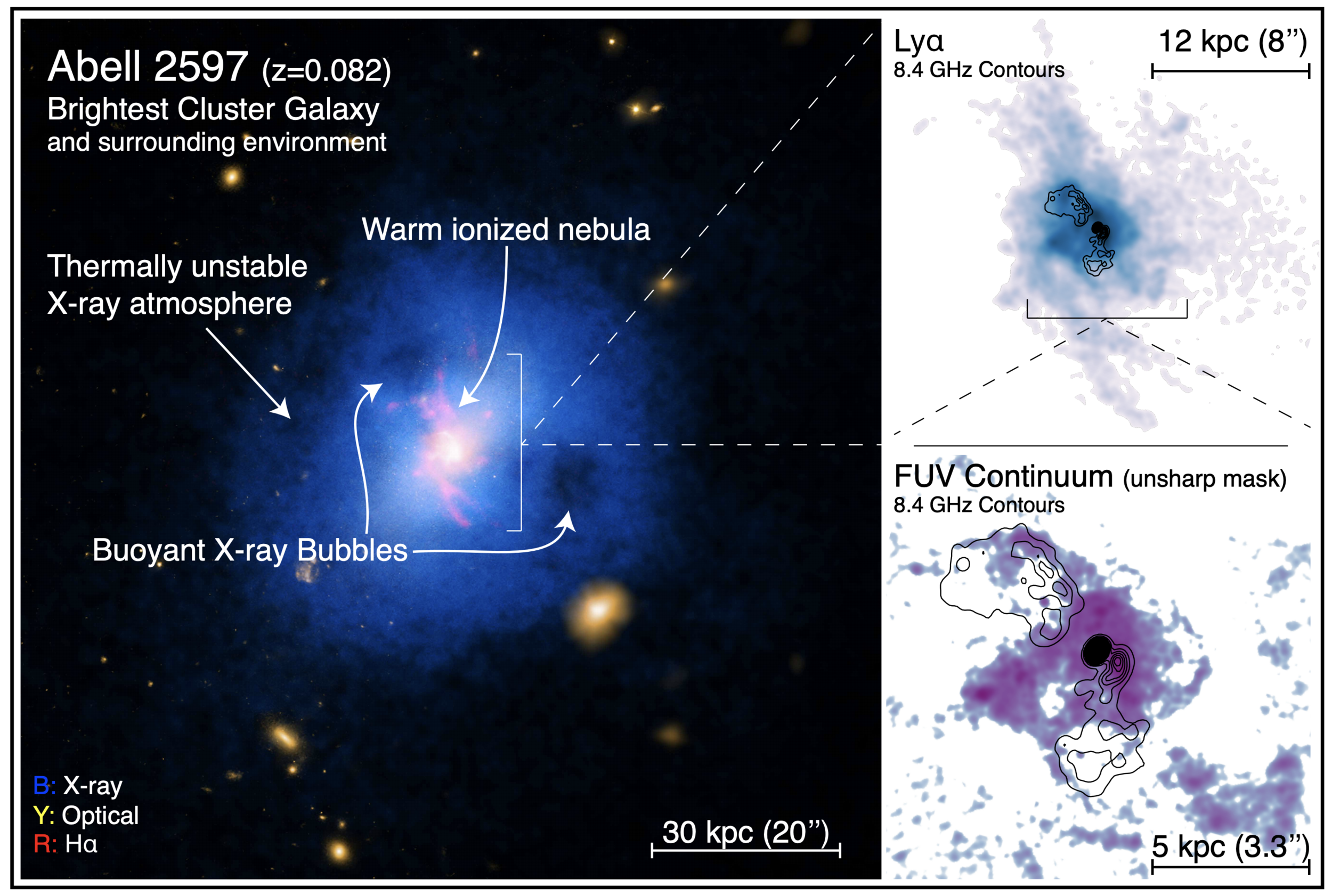 Dr. Grant Tremblay | Harvard-Smithsonian Center for Astrophysics
