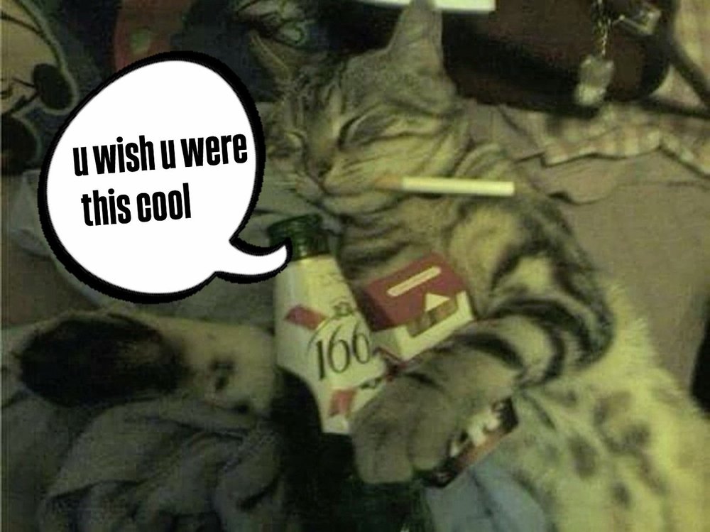 CDC Announces: Drunk Cigs No Longer Count — The Eggplant