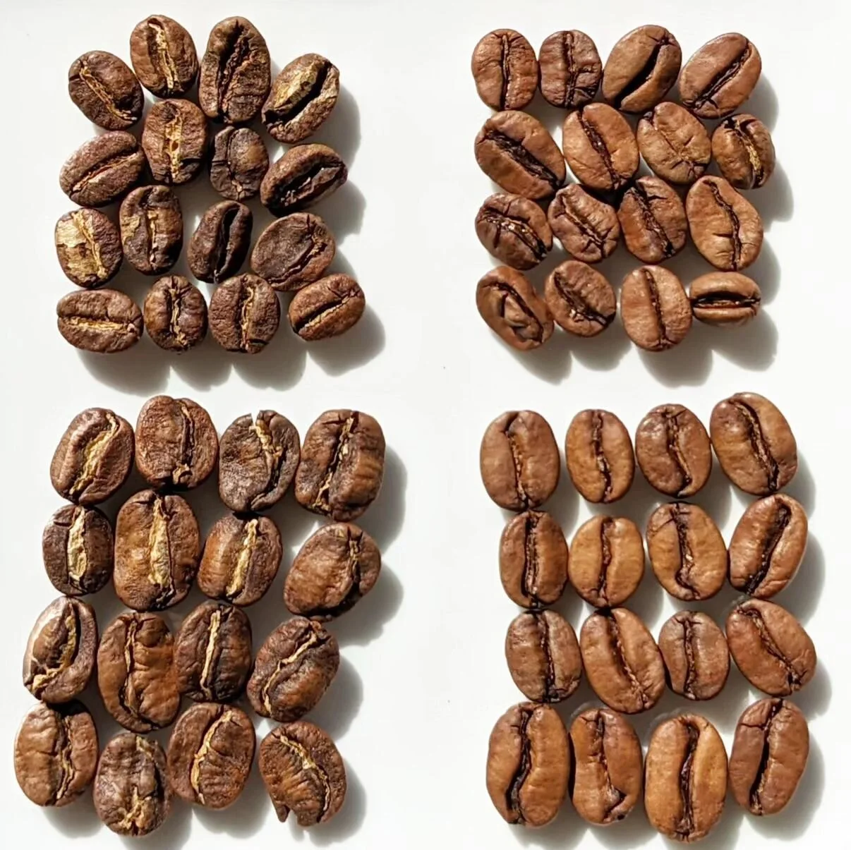 Elevator Coffee - Approachable specialty coffee. Roasted by nerds, not ...