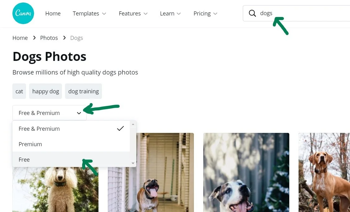 Finding Free Photos in Canva | Coder Kids