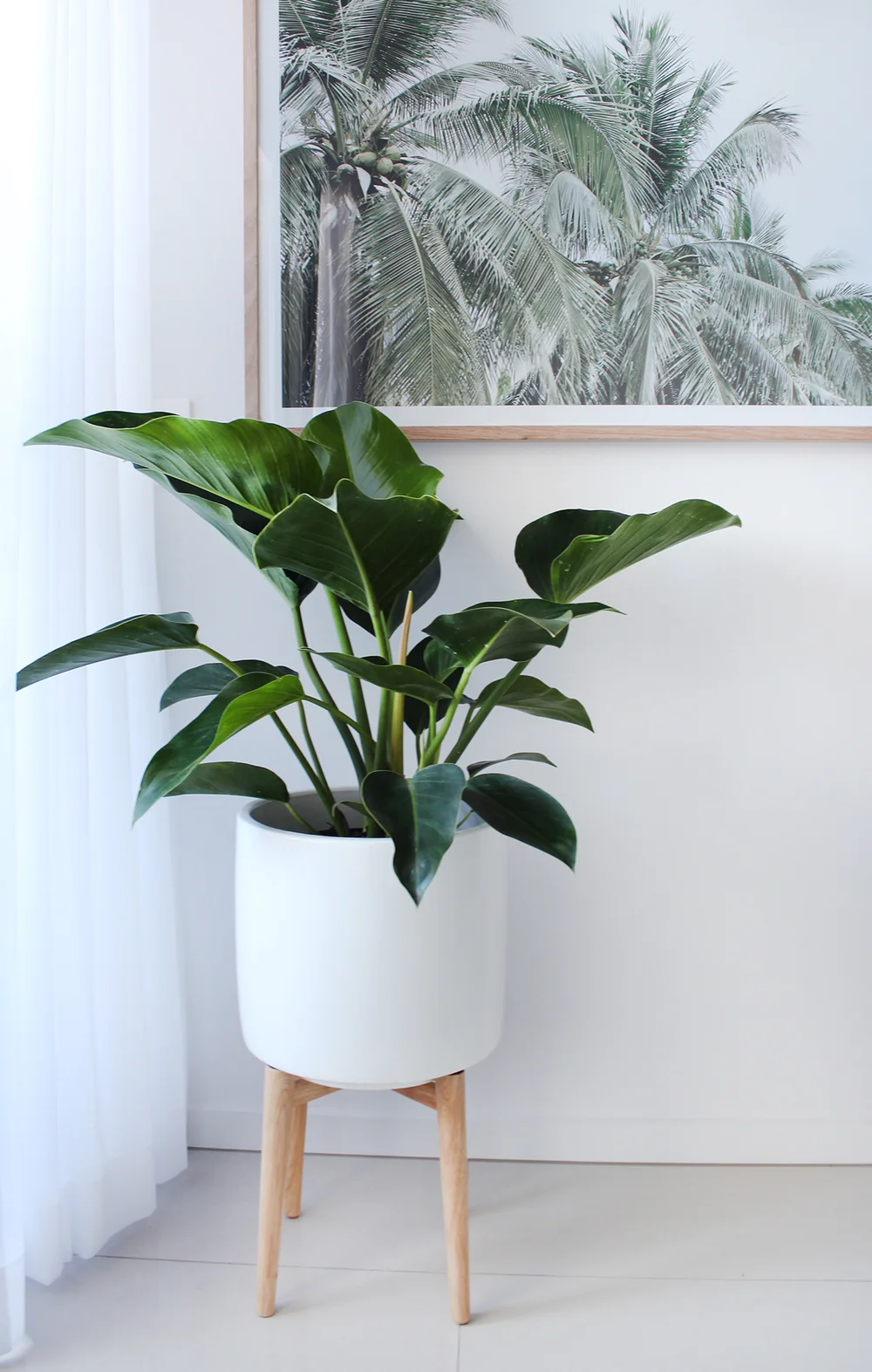 My Dining Room Reveal — Adore Home Magazine