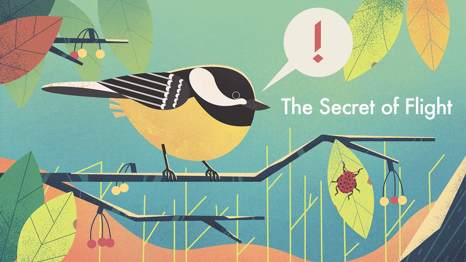 The Secret of Flight Series — Beauty of Science
