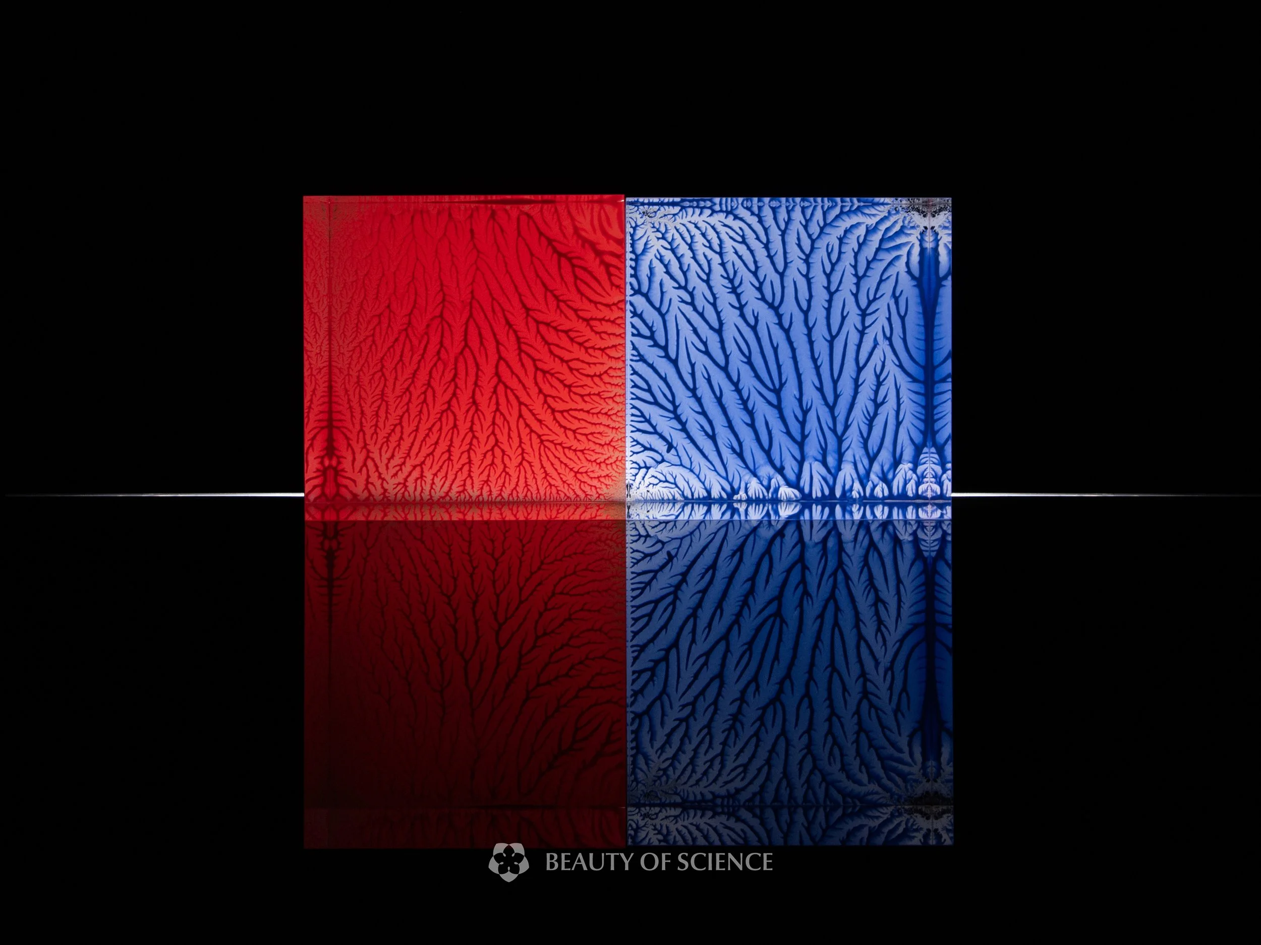 Emotional Fractals — Beauty of Science