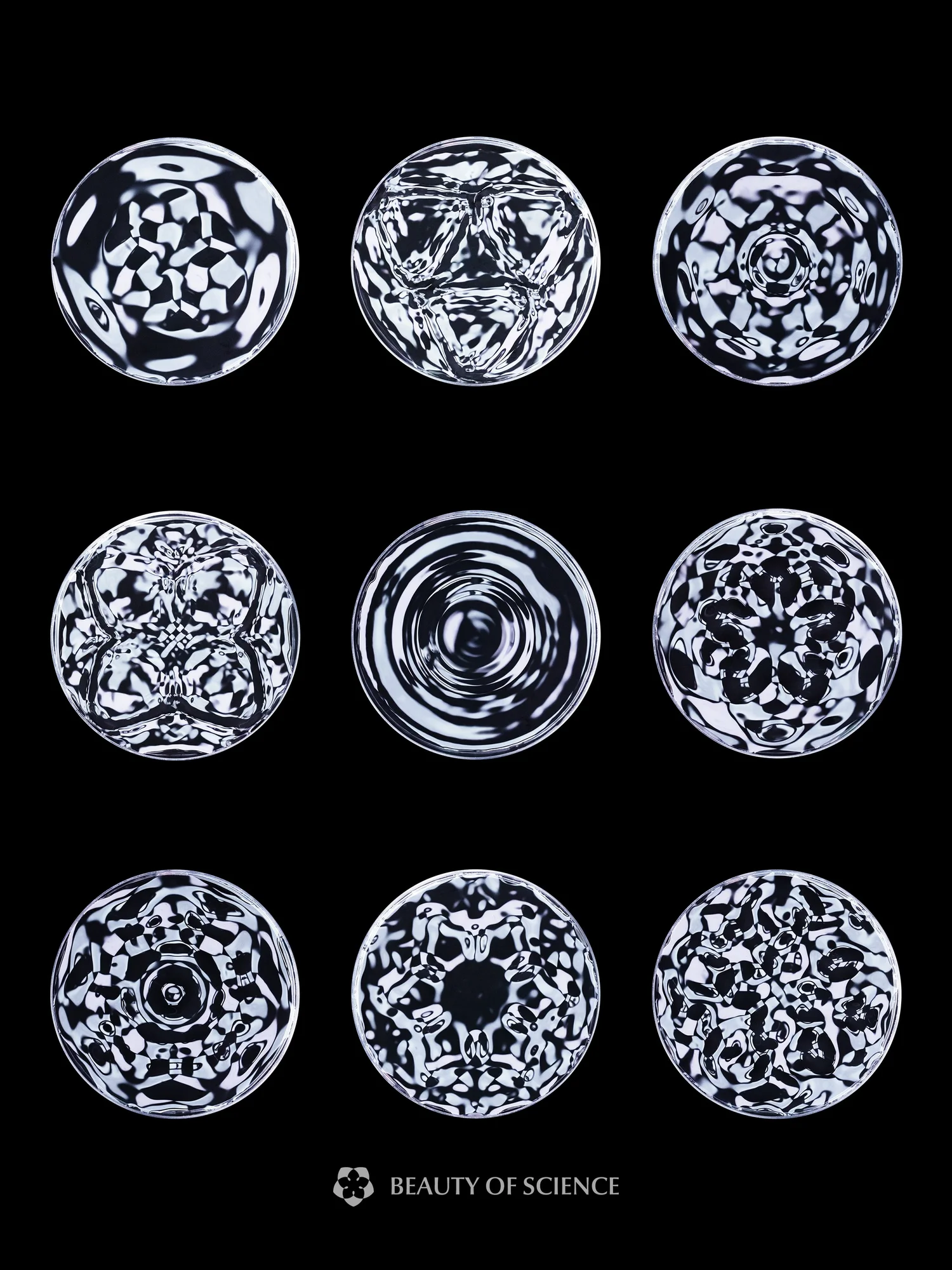 Faraday Waves — Beauty of Science