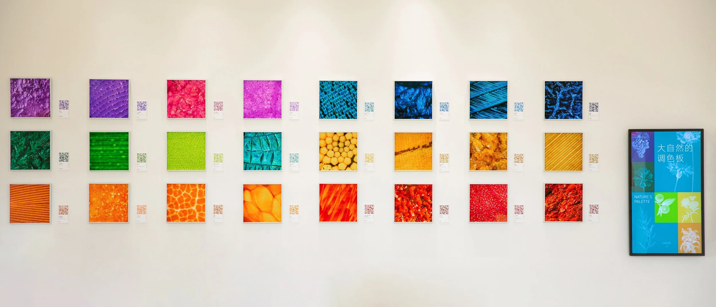 Nature's Palette — Beauty of Science