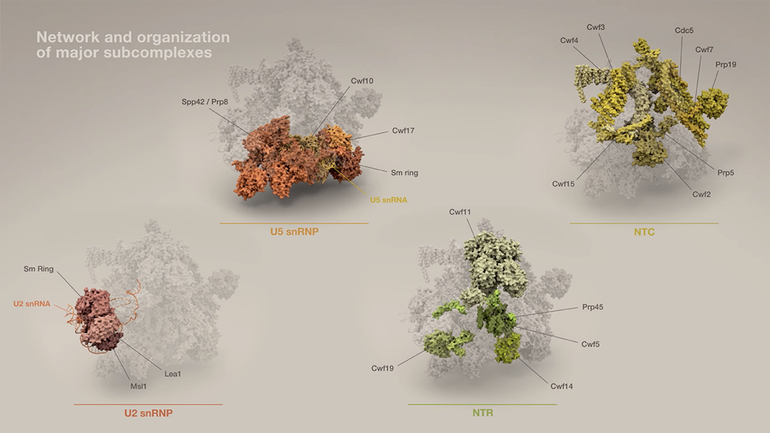 Life Science Visualization — Beauty of Science
