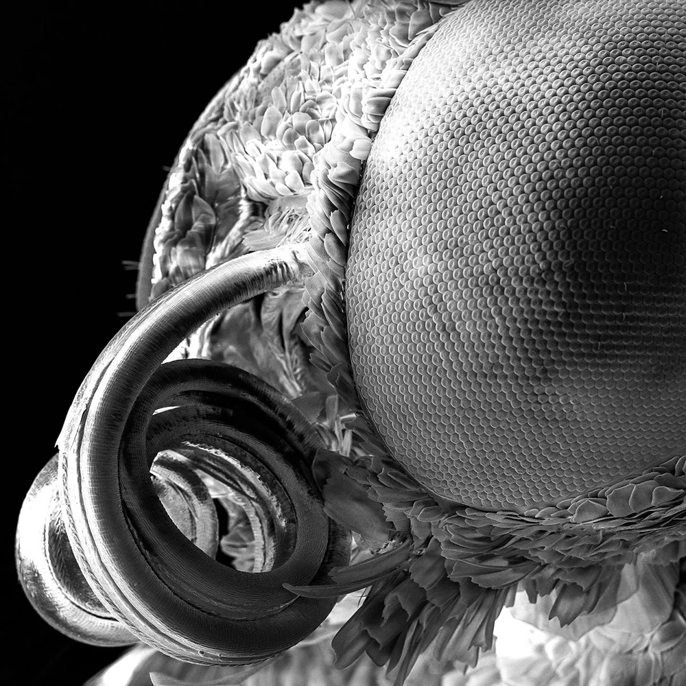 Experiments — Beauty of Science