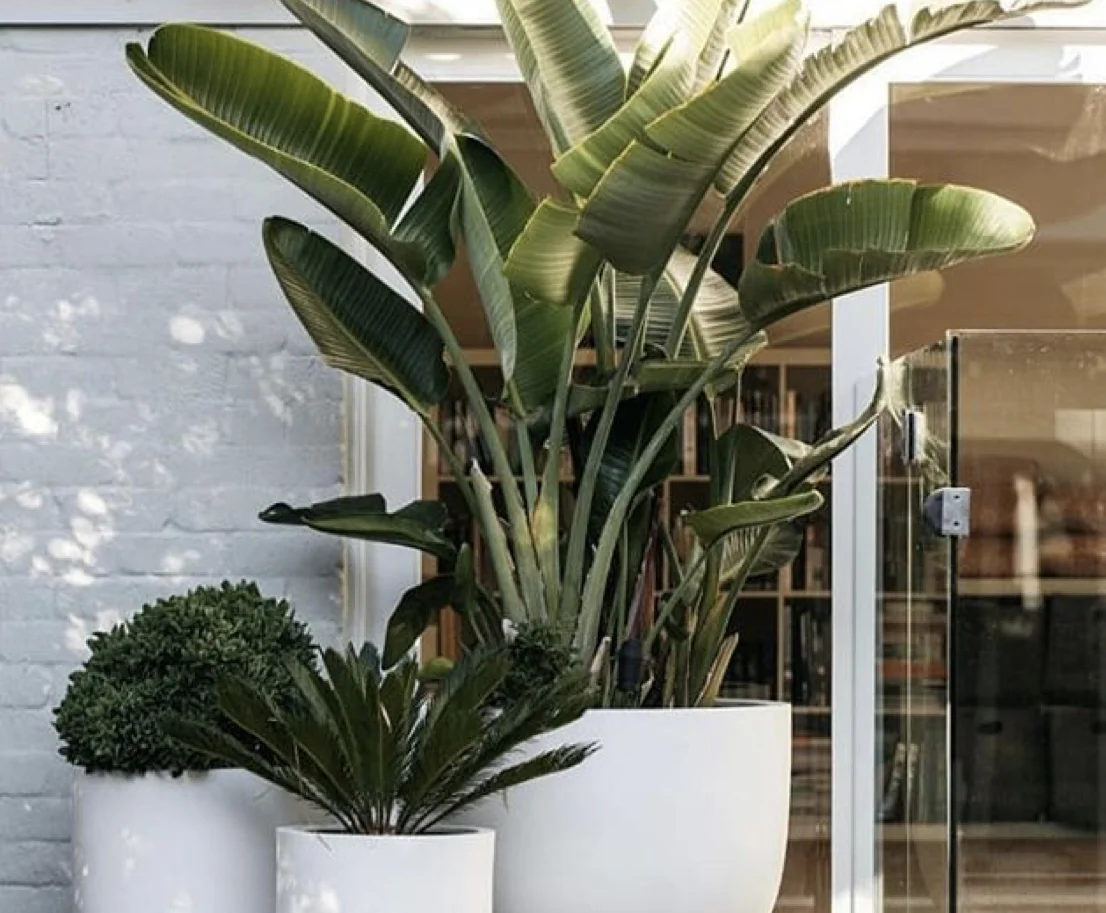 Our Clients — Smith Brothers Building