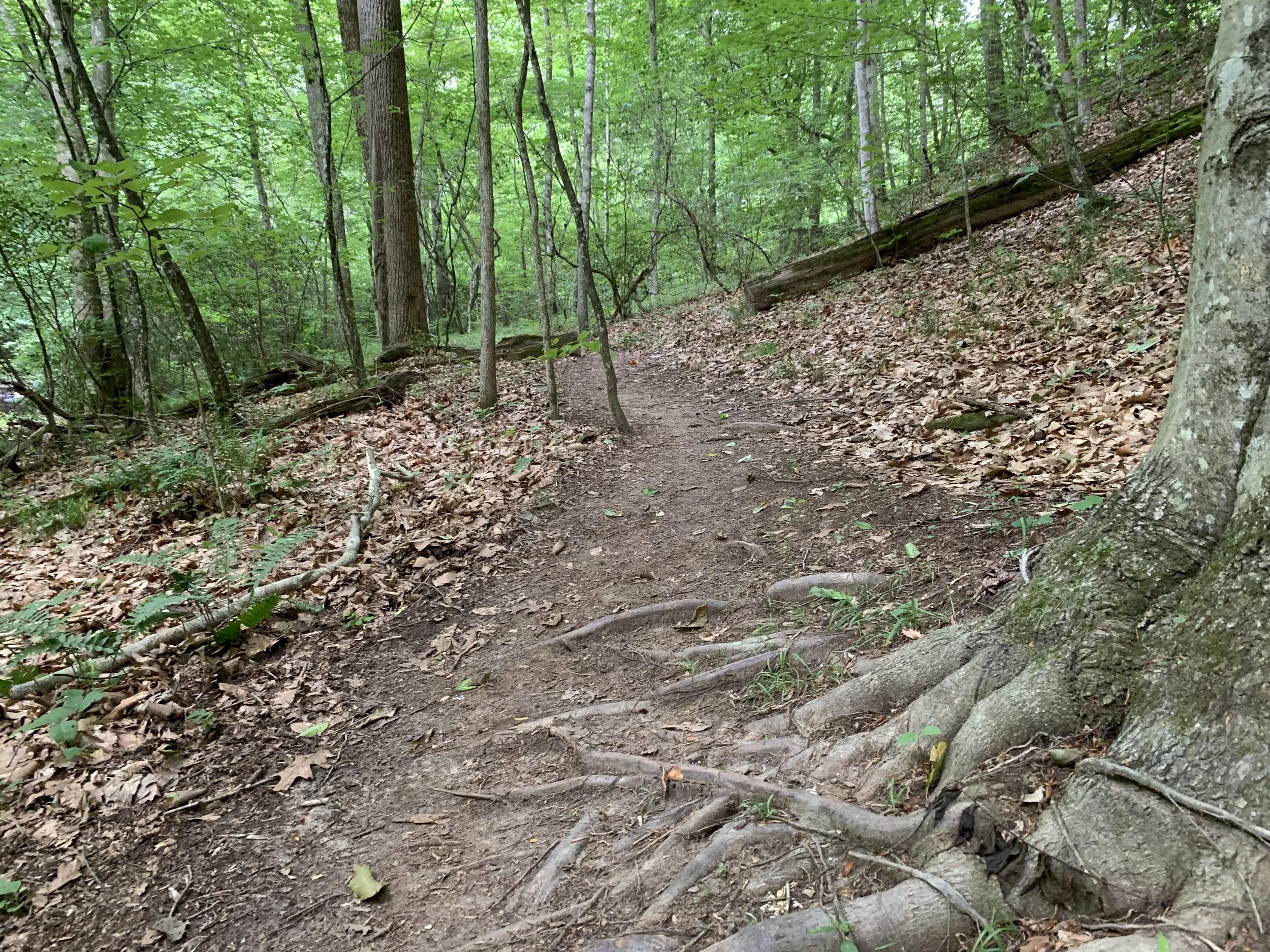 Race Info — The Devil Dog Ultras