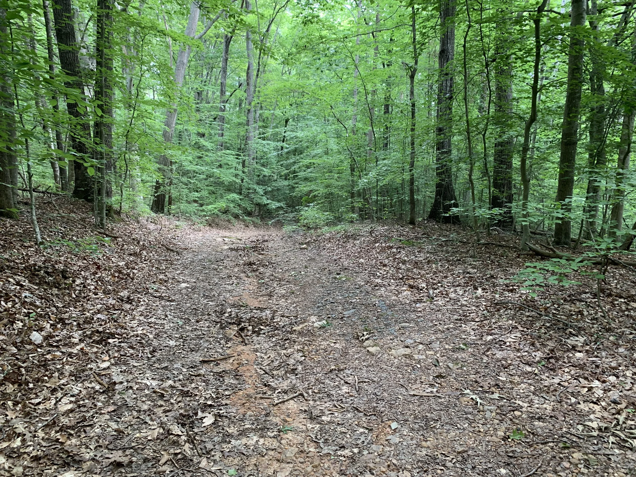Race Info — The Devil Dog Ultras