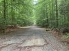 Race Info — The Devil Dog Ultras