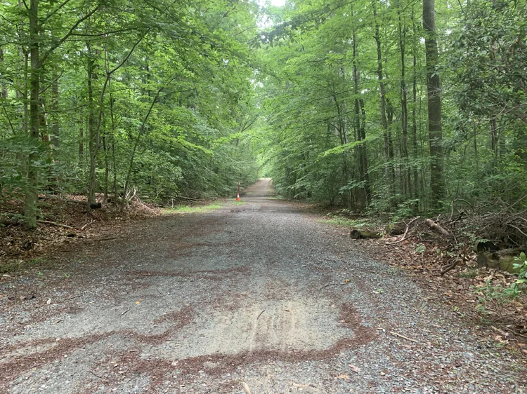 Race Info — The Devil Dog Ultras
