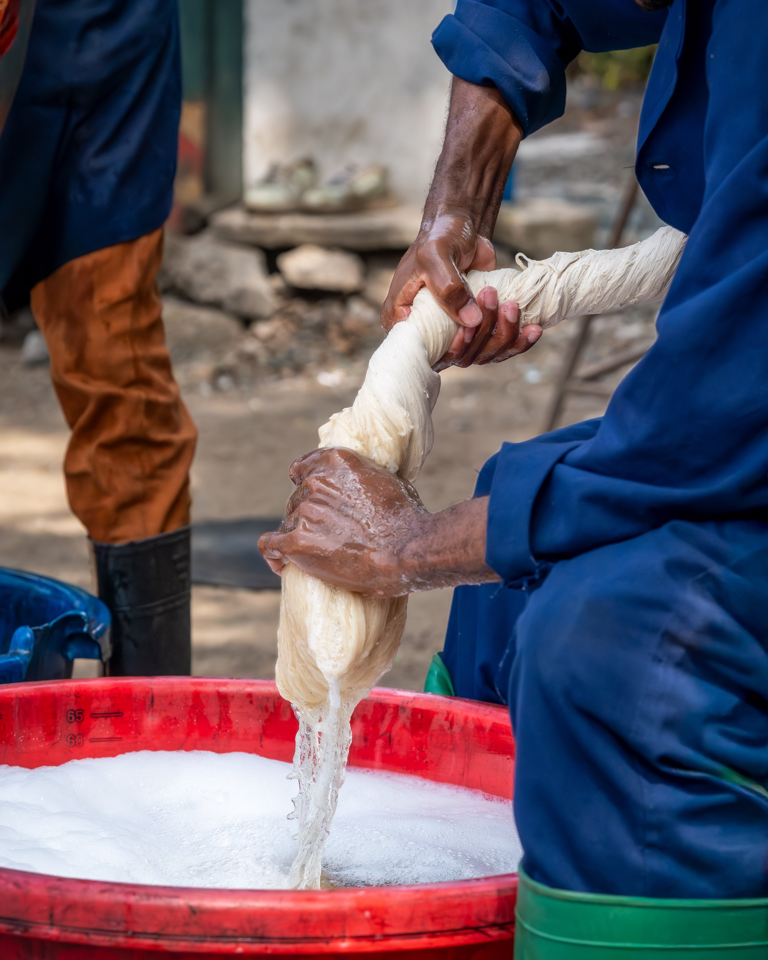 EXPERIENCE SHANGA — SHANGA