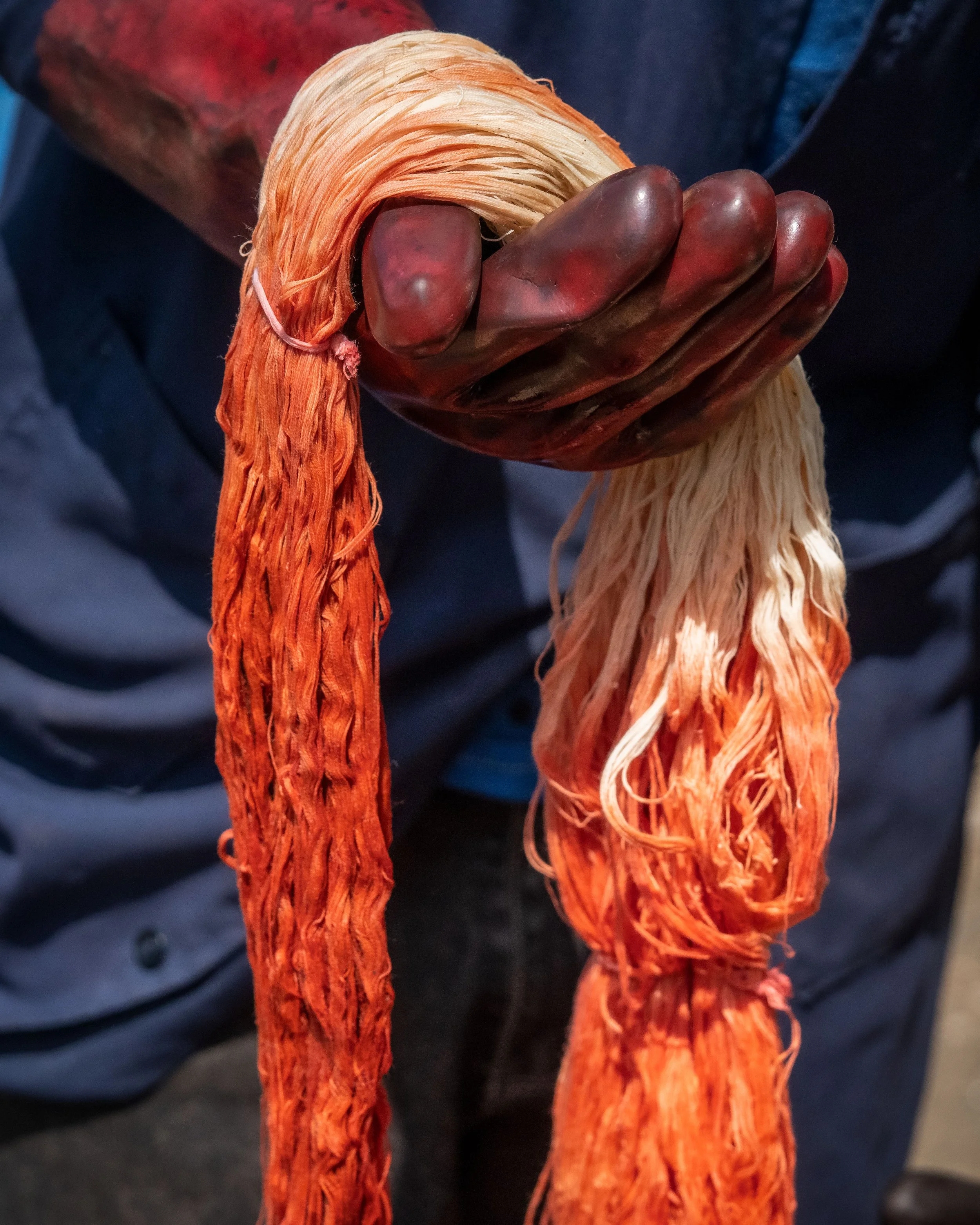 EXPERIENCE SHANGA — SHANGA