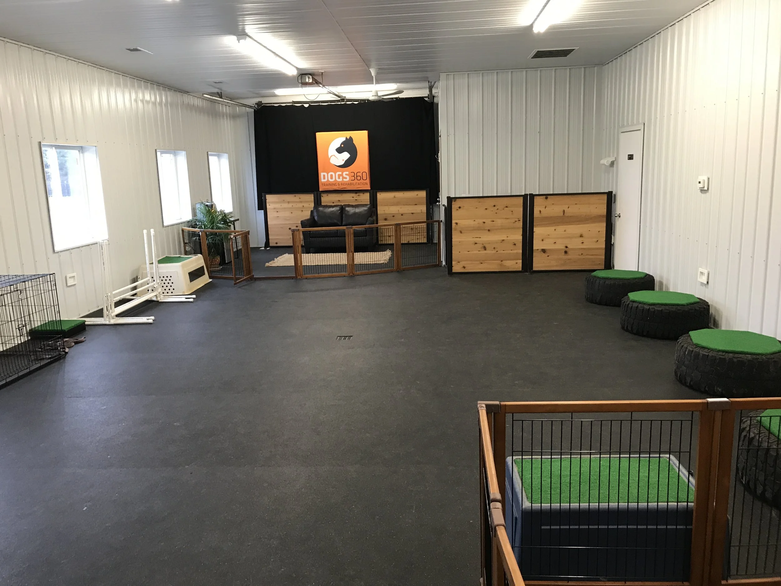 DOGS 360 Training & Rehabilitation