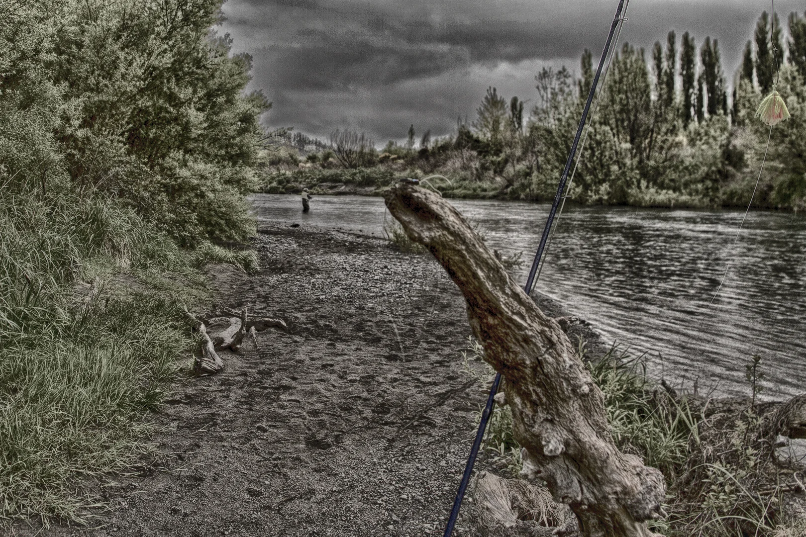 Gallery – Nelson Trout Fishing Club — Nelson Trout Fishing Club