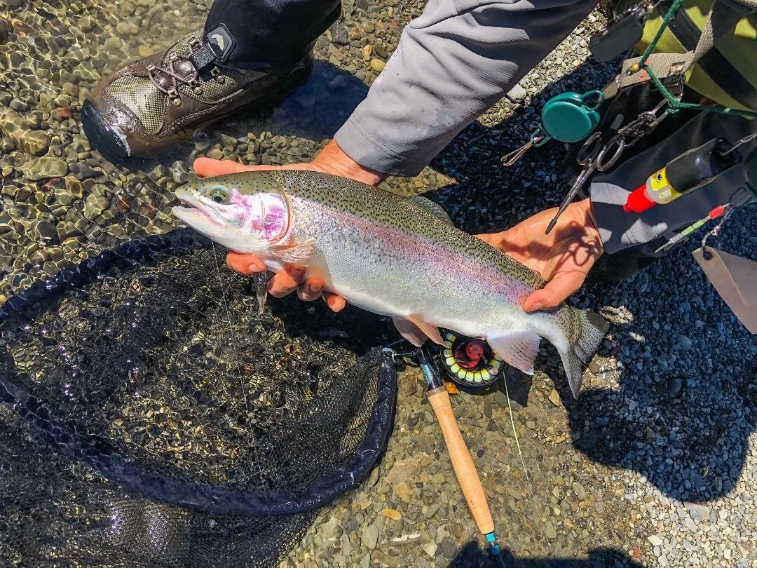Gallery – Nelson Trout Fishing Club — Nelson Trout Fishing Club