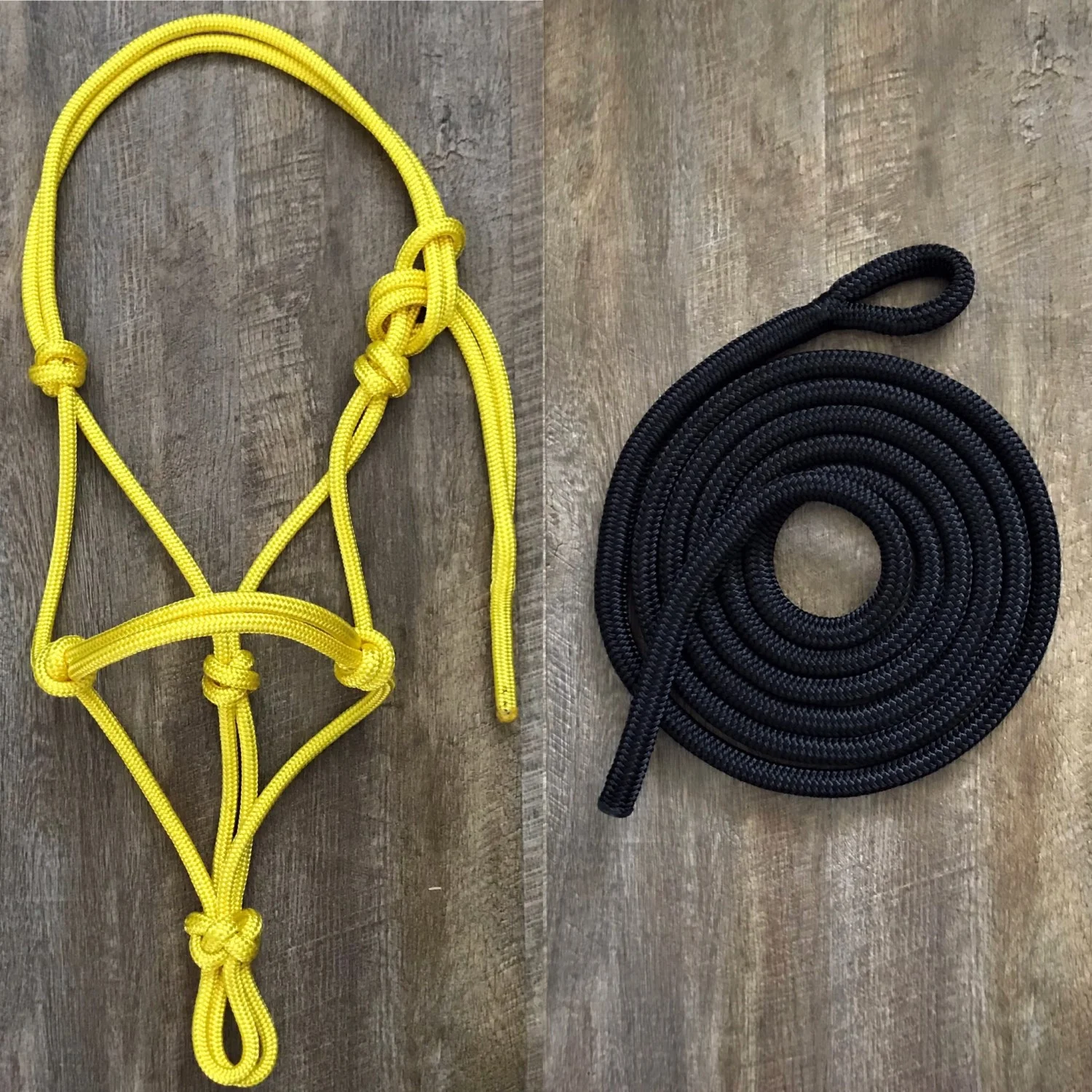 Halter & lead set — JB Halters & Leads