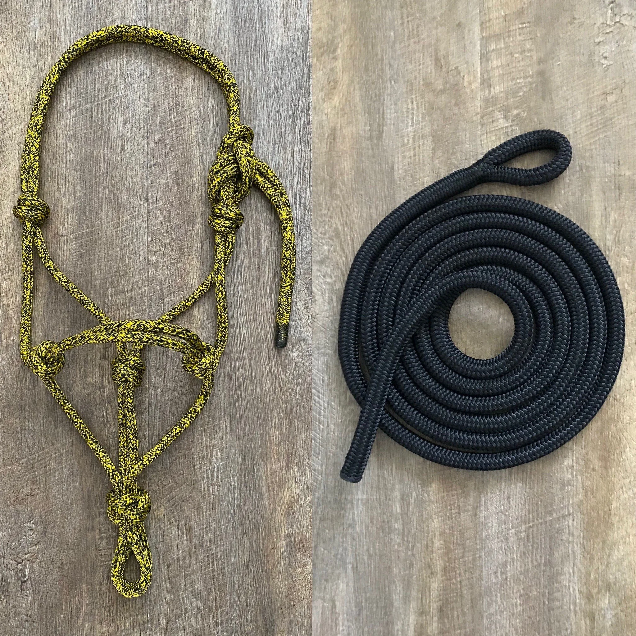 Halter & lead set — JB Halters & Leads