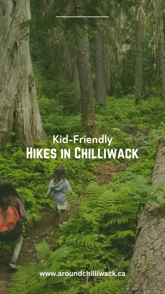 What To Do in Chilliwack - 5 Things To Do In Chilliwack — Around Chilliwack