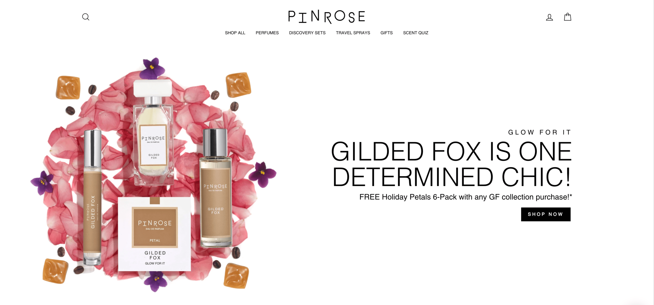 Web — Vincent Nigro