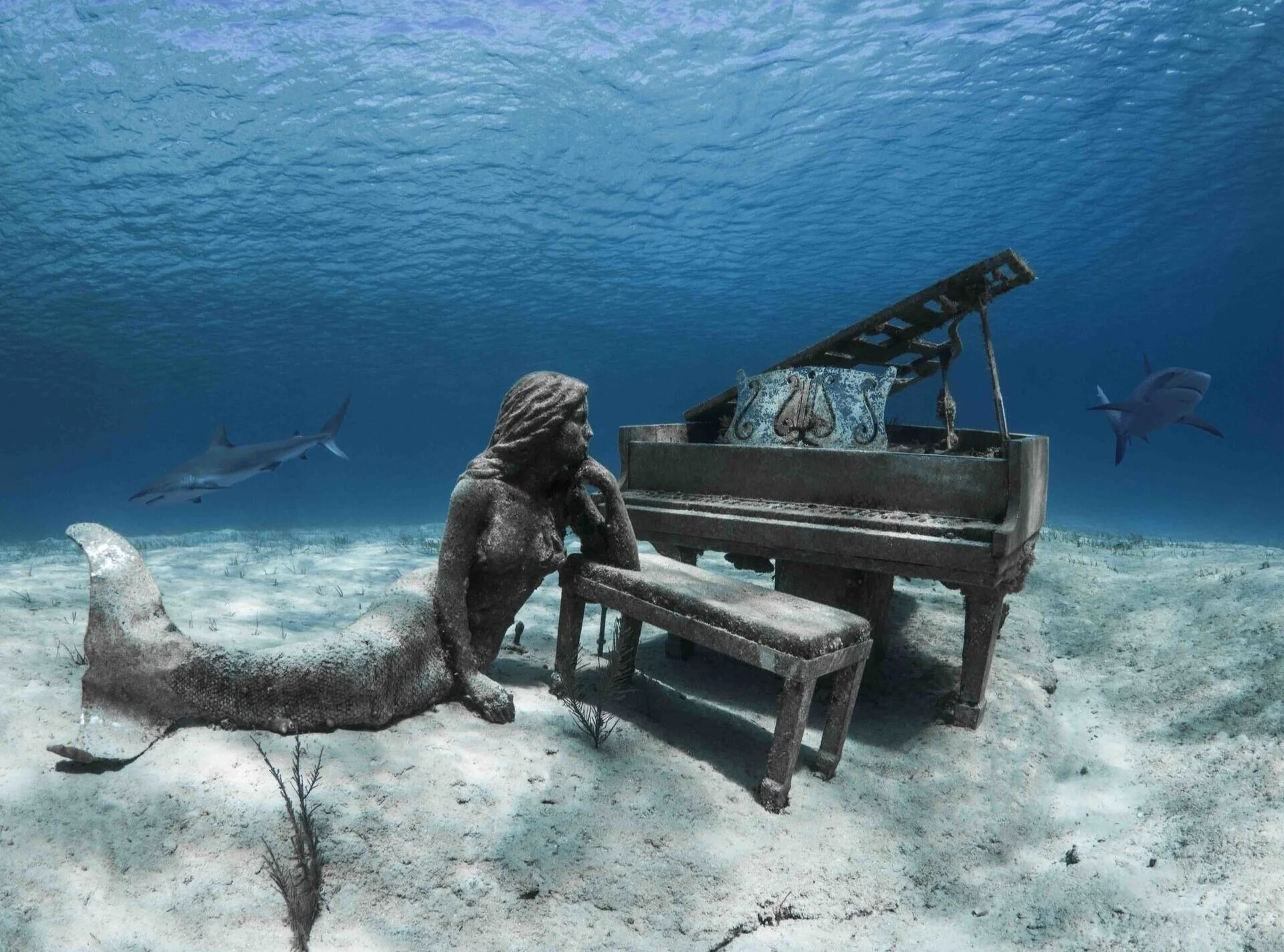 Photography — Soaring Eagle Arts Beats & Eats