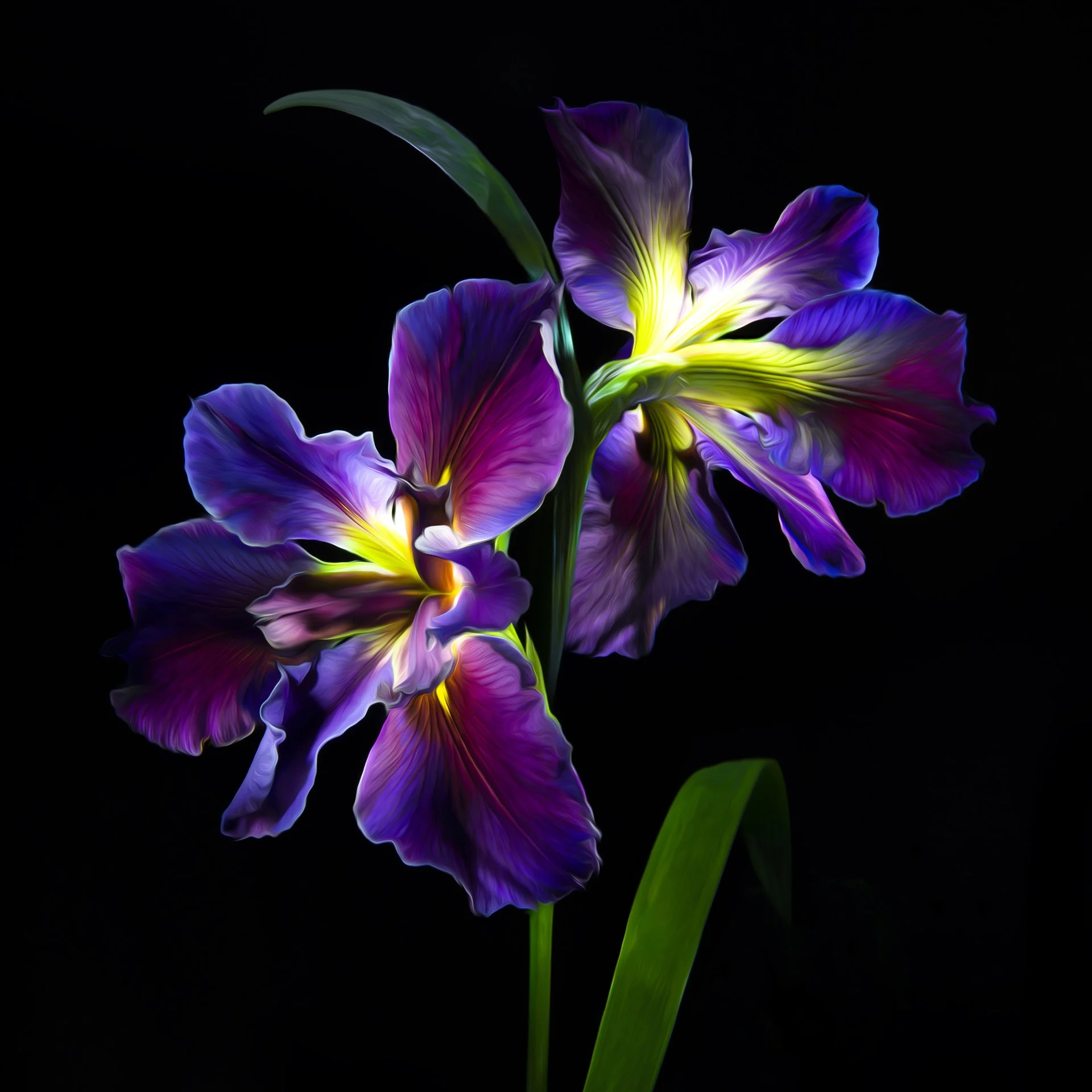 Photography — Soaring Eagle Arts Beats & Eats