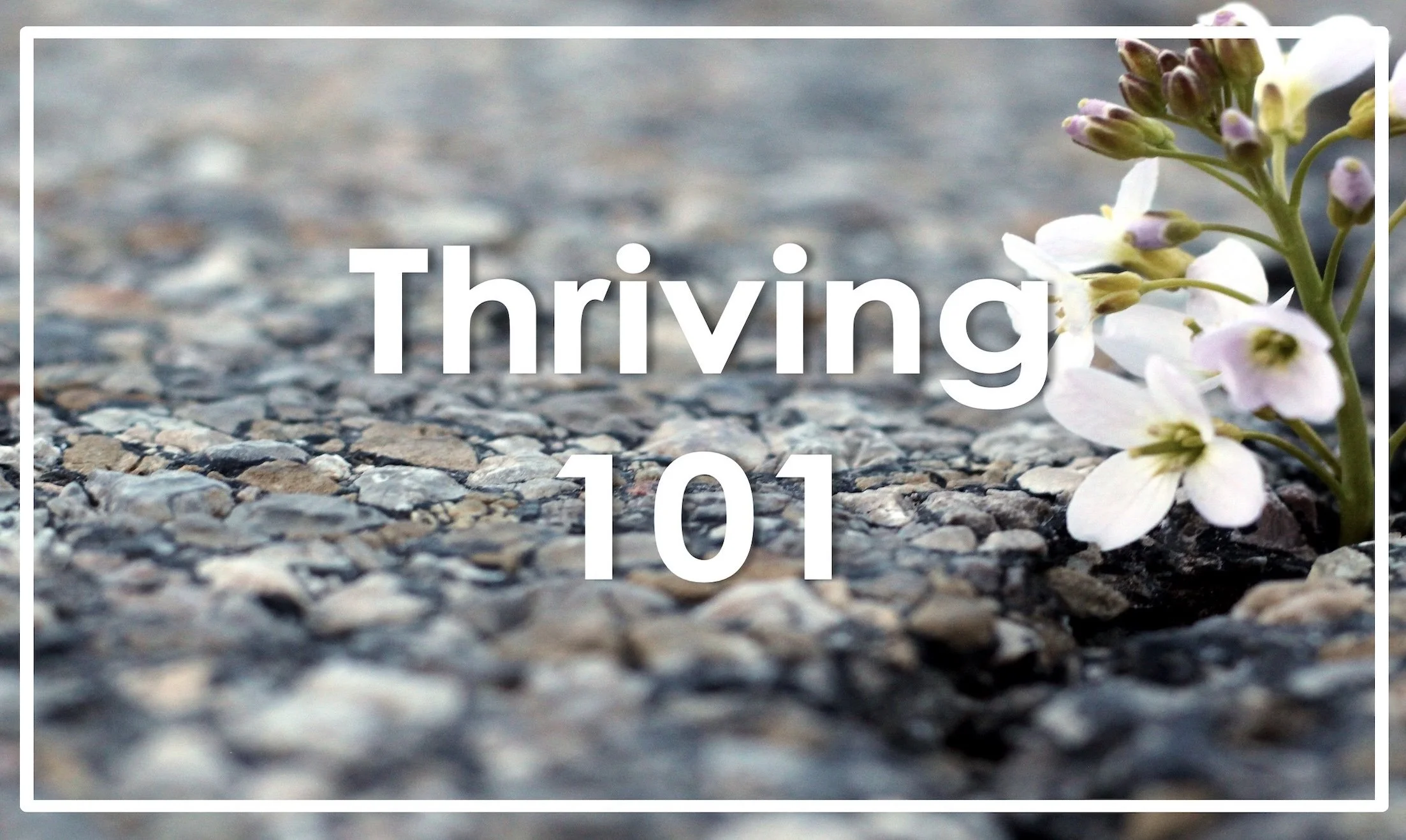 PathNorth Experiences — PathNorth