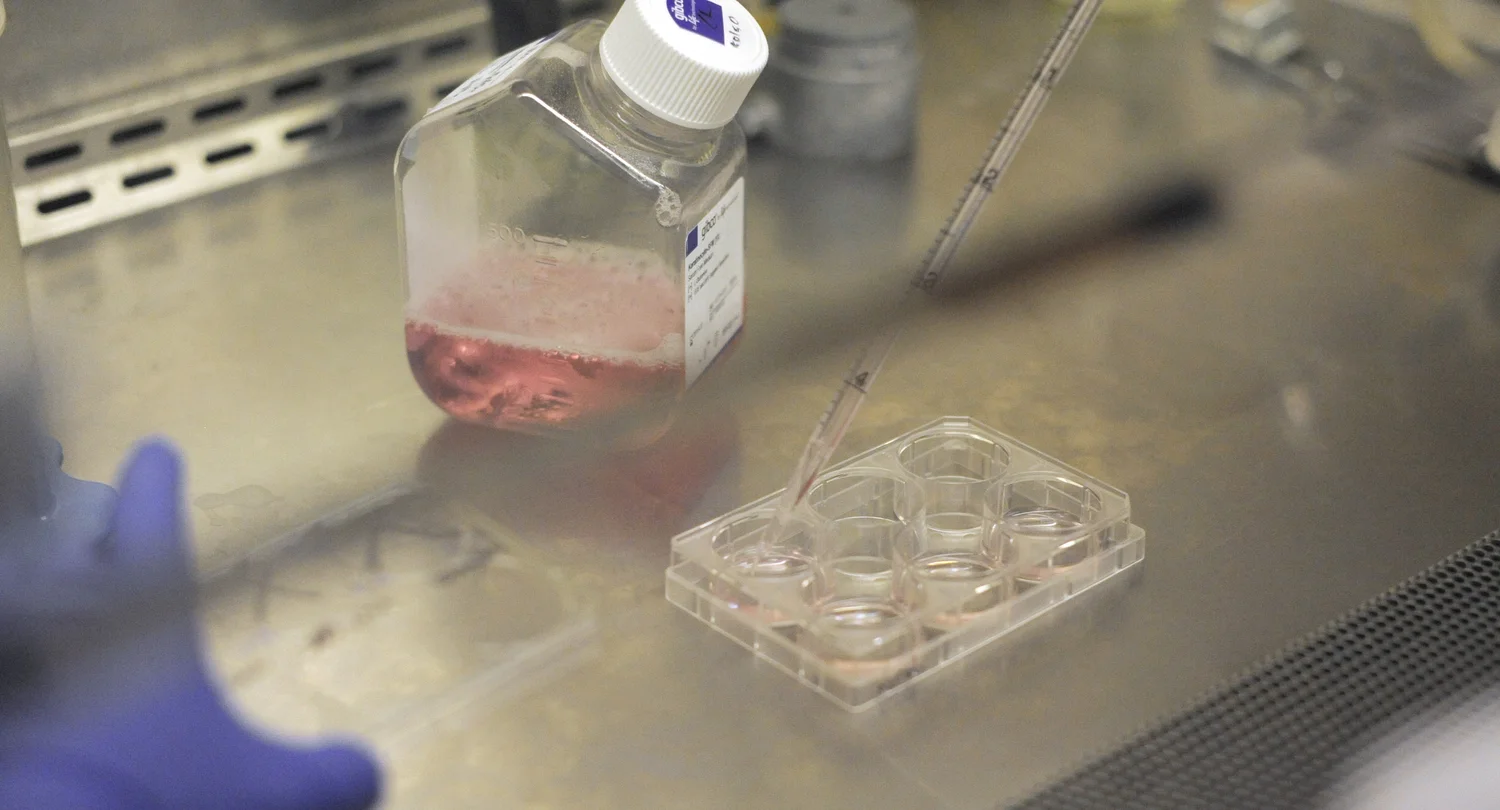 People — The Lee Lab