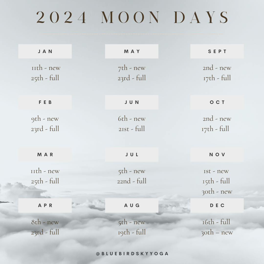 Mysore Ashtanga — BluebirdSkyYoga