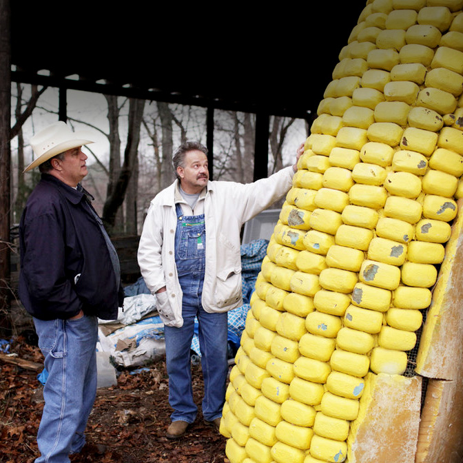 Testimonials / Projects — Kappa Studios