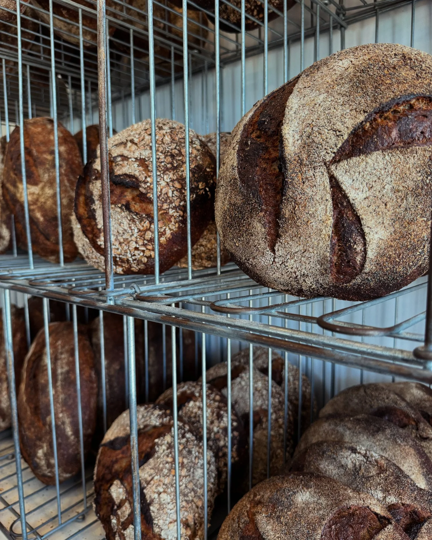 NIGHT MOVES BREAD