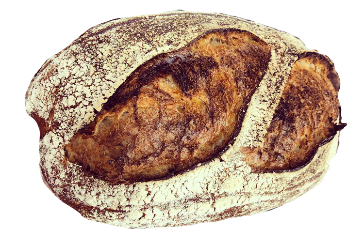ABOUT — NIGHT MOVES BREAD
