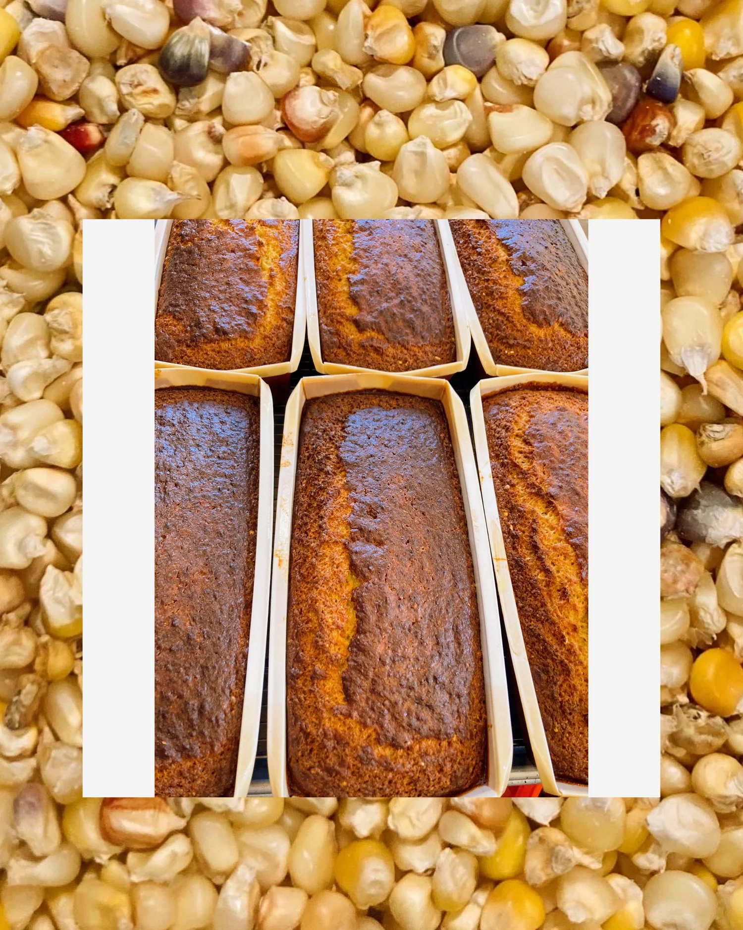 NIGHT MOVES BREAD