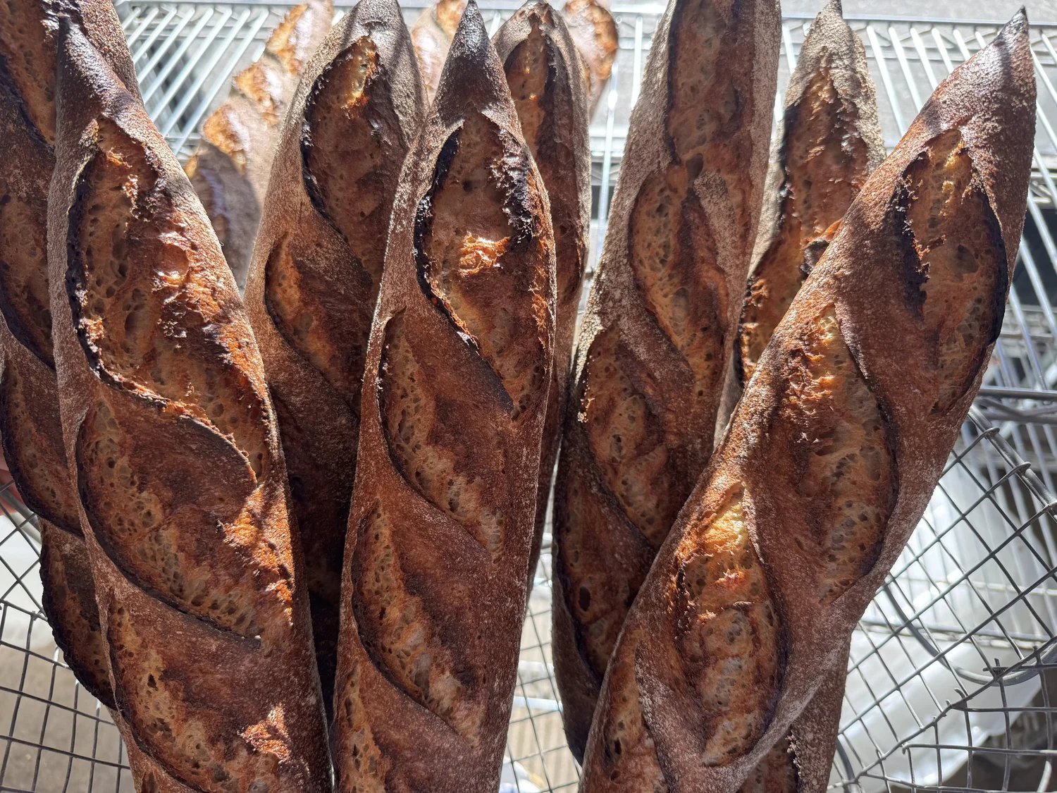 NIGHT MOVES BREAD