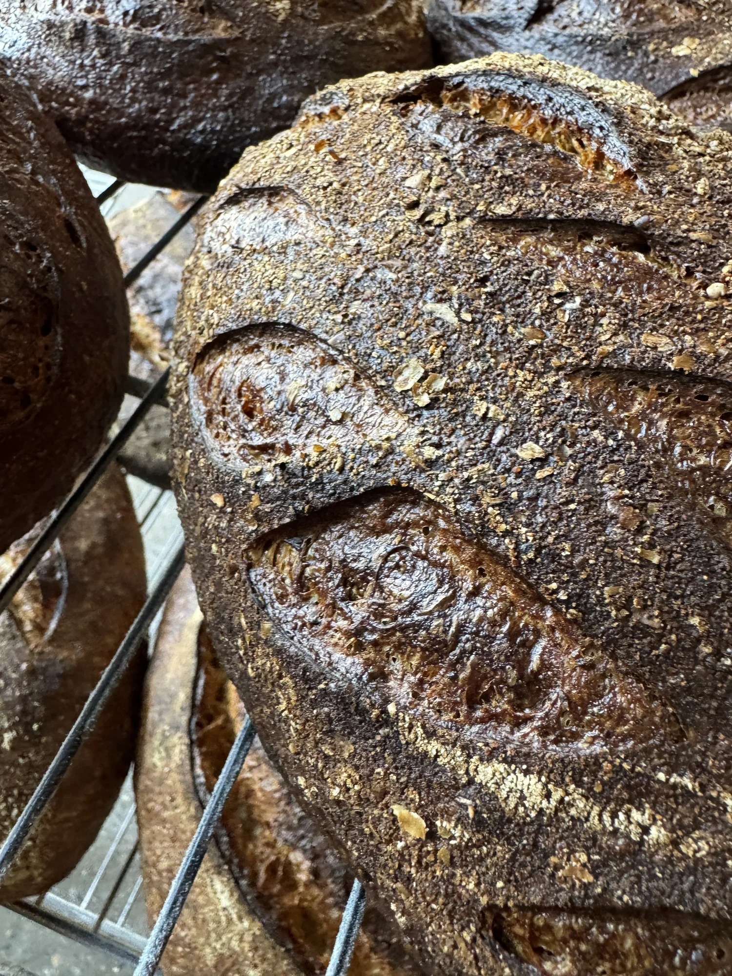 NIGHT MOVES BREAD
