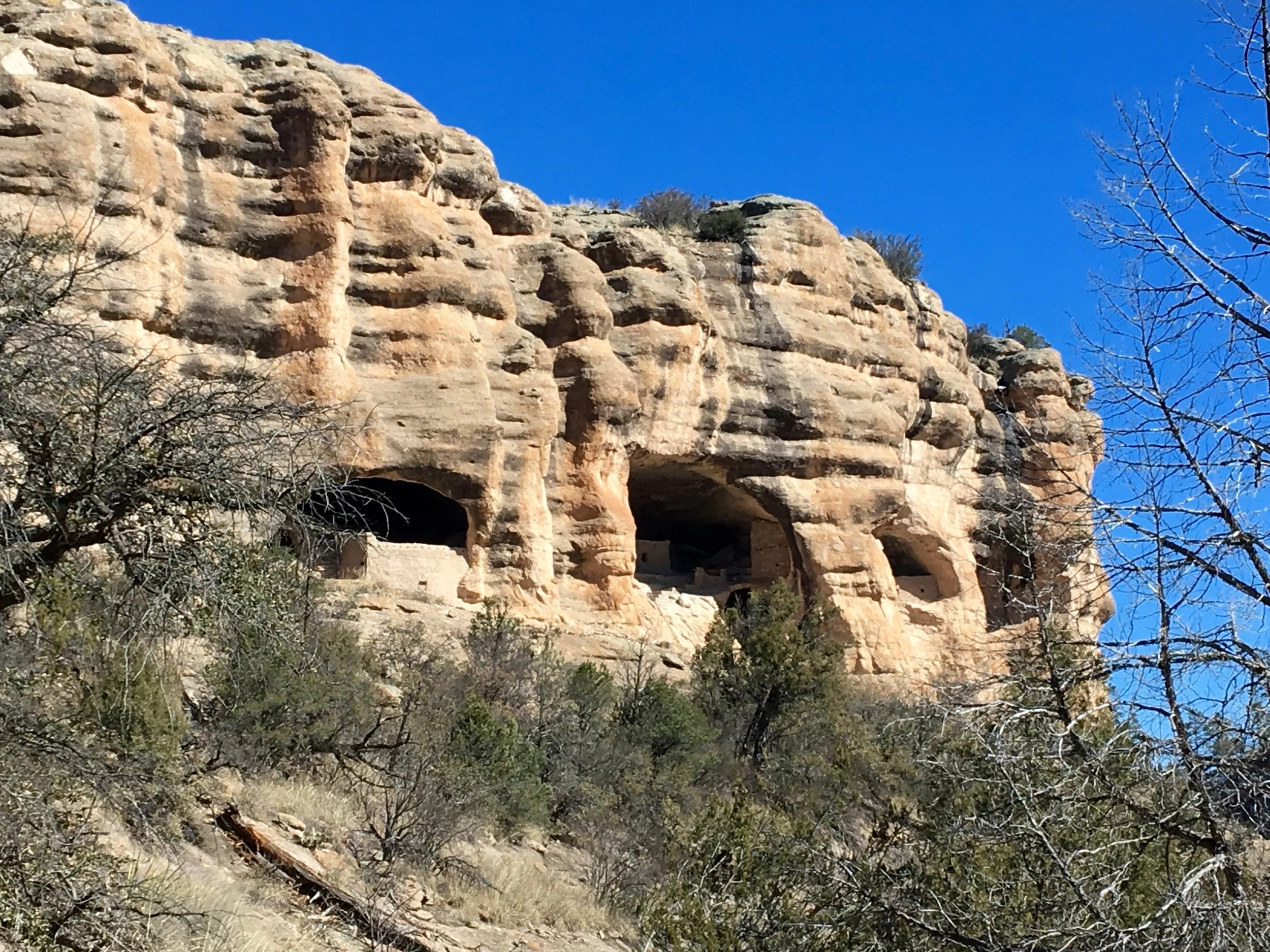 Detour into the Gila National Forest — Living Driven