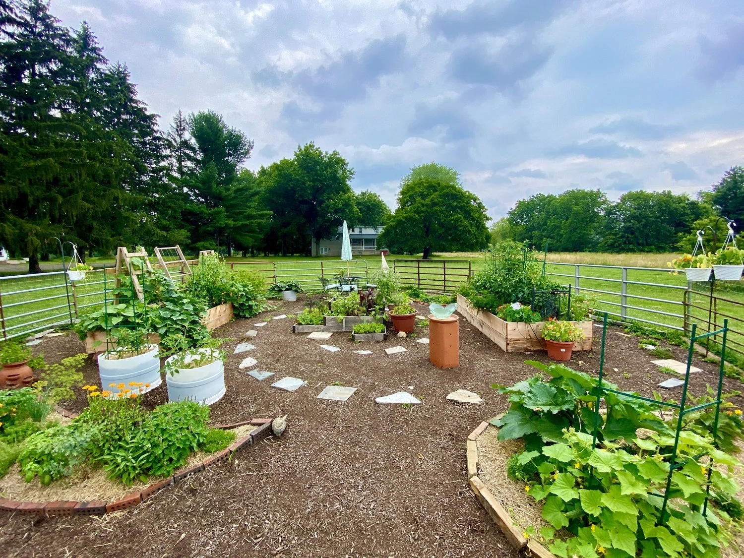 Permaculture Vegetable Garden Layout