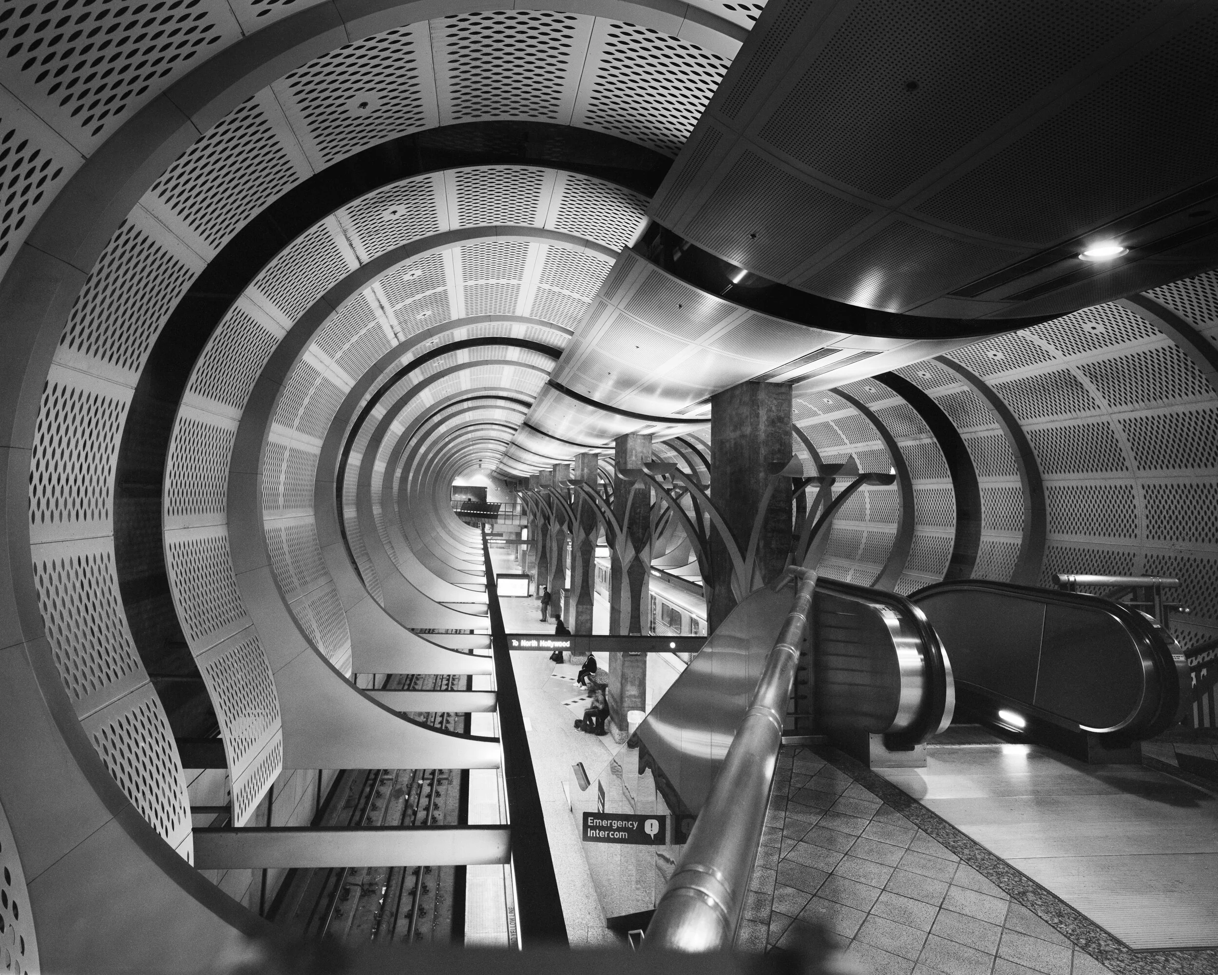 Wista 45 — Bounet-Photography