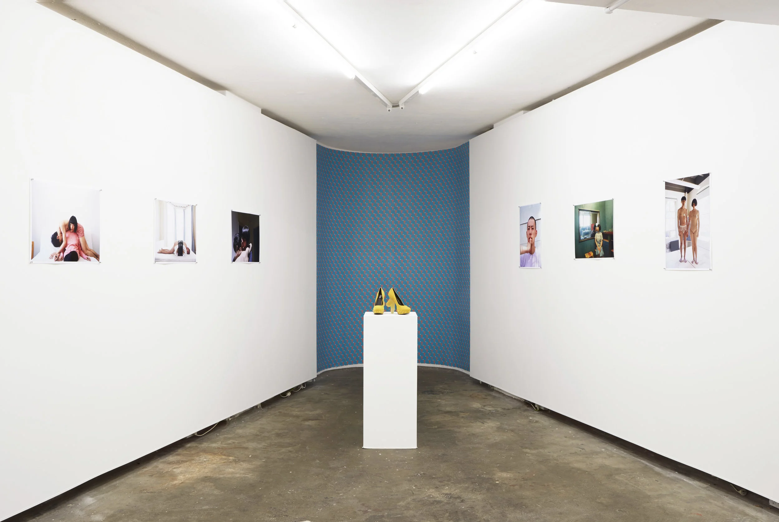 2016 Some Words Are Just Between Us, First Draft Gallery, Sydney ...