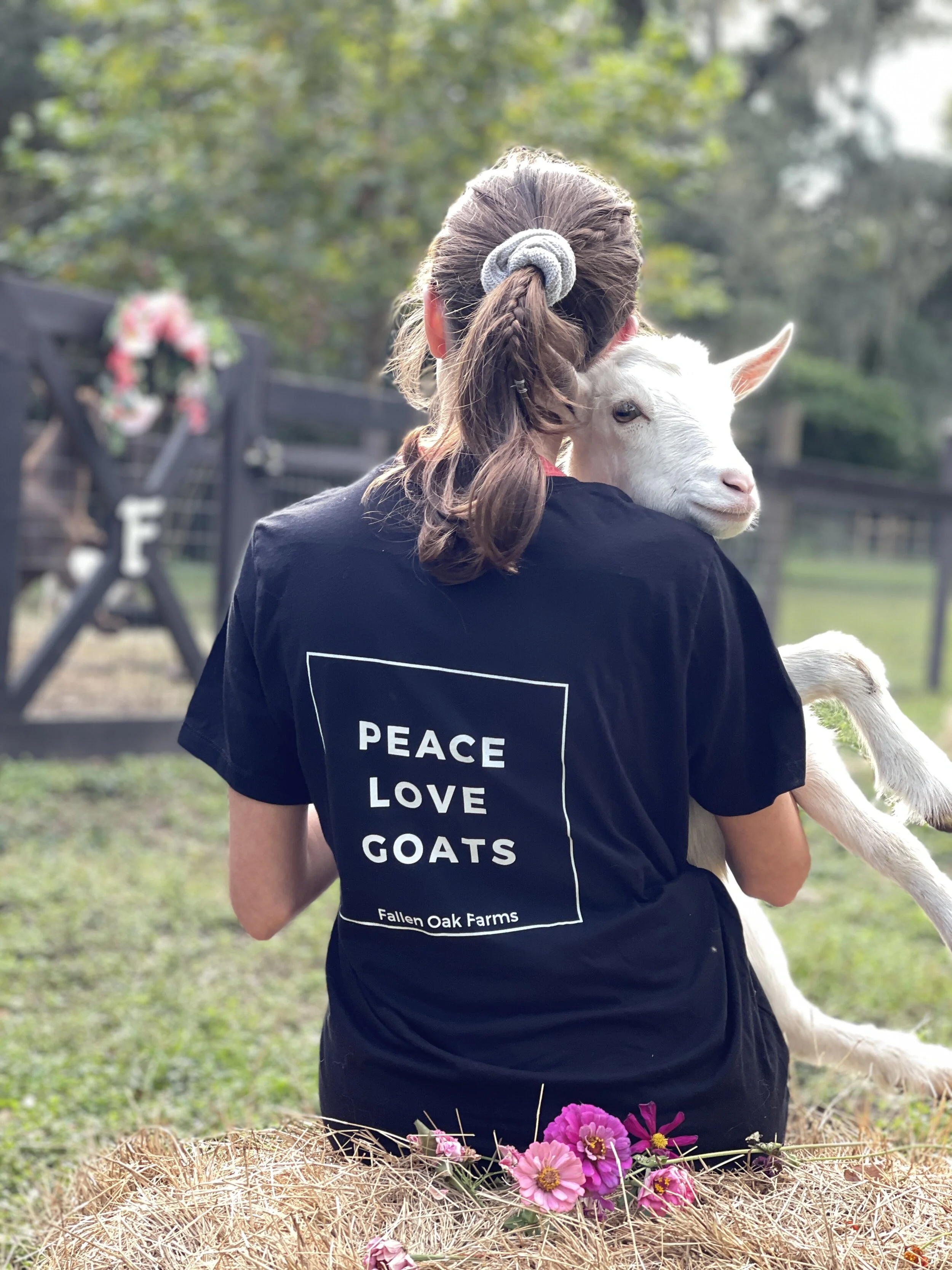 Fallen Oak Farms adorable Dwarf Goats — Tampa Greenhouses at Fallen Oak ...