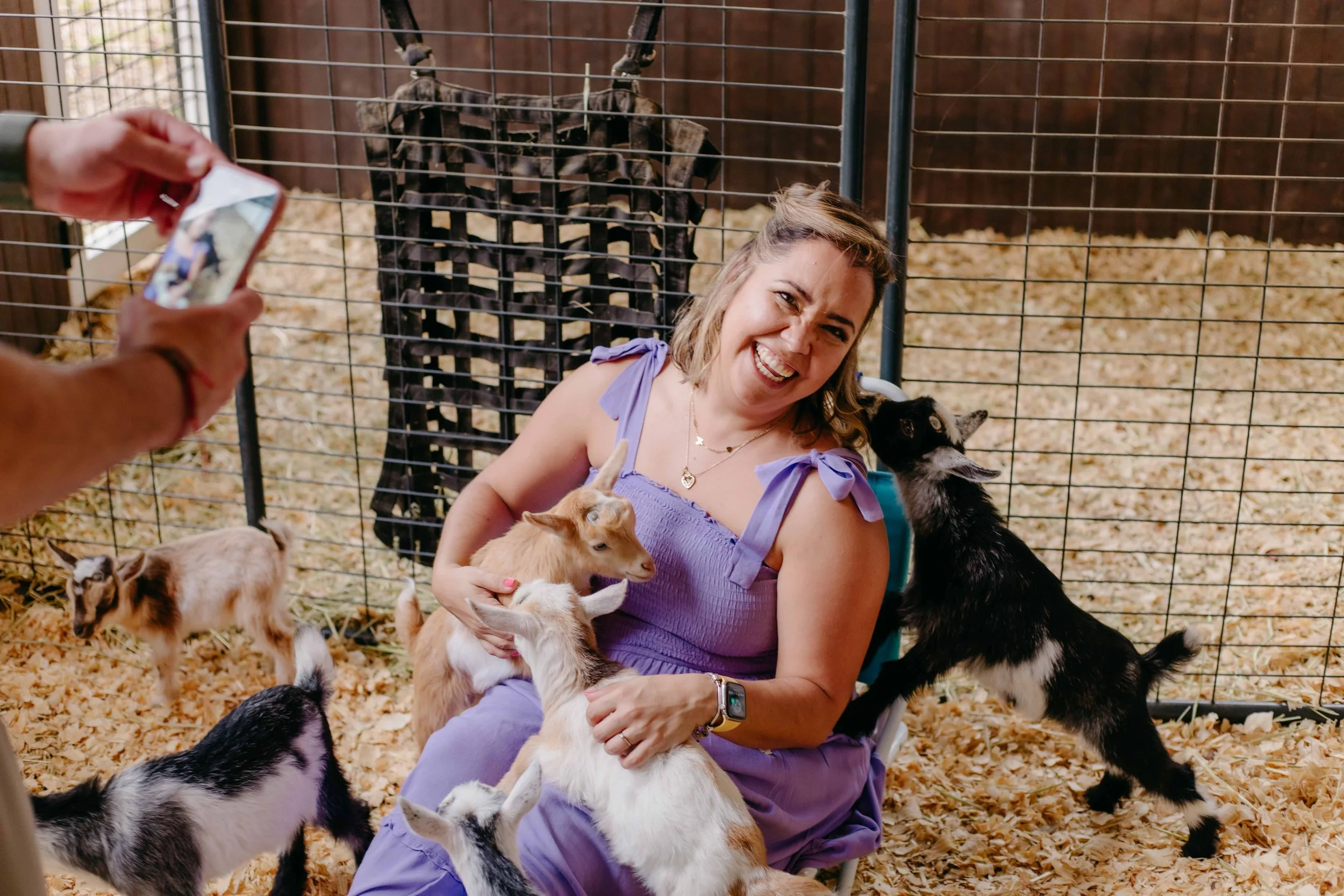 Fallen Oak Farms adorable Dwarf Goats — Tampa Green Houses at Fallen ...