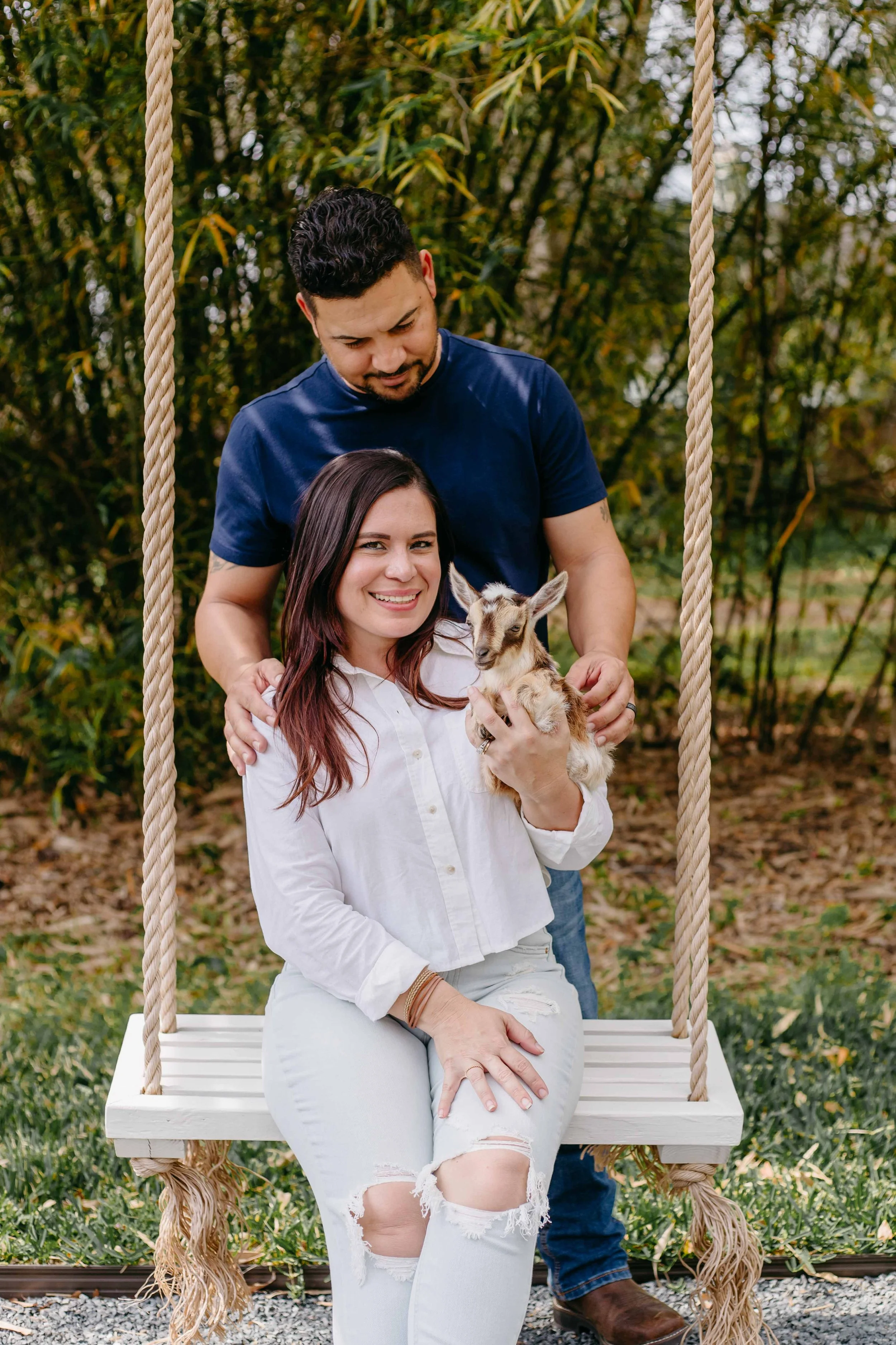 Fallen Oak Farms adorable Dwarf Goats — Tampa Green Houses at Fallen ...