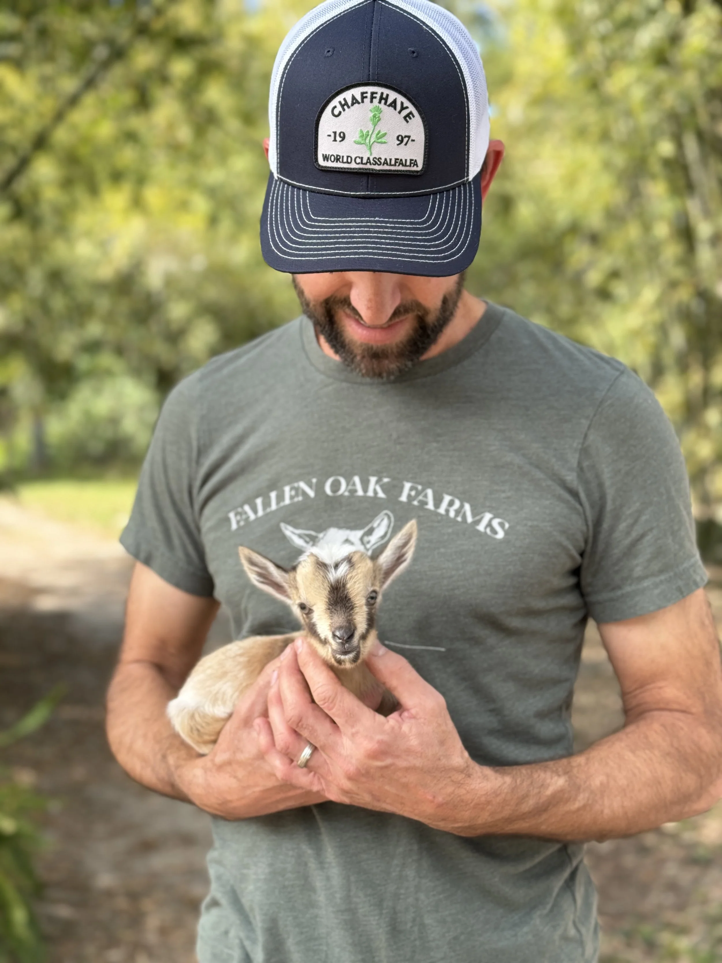 Fallen Oak Farms adorable Dwarf Goats — Tampa Green Houses at Fallen ...