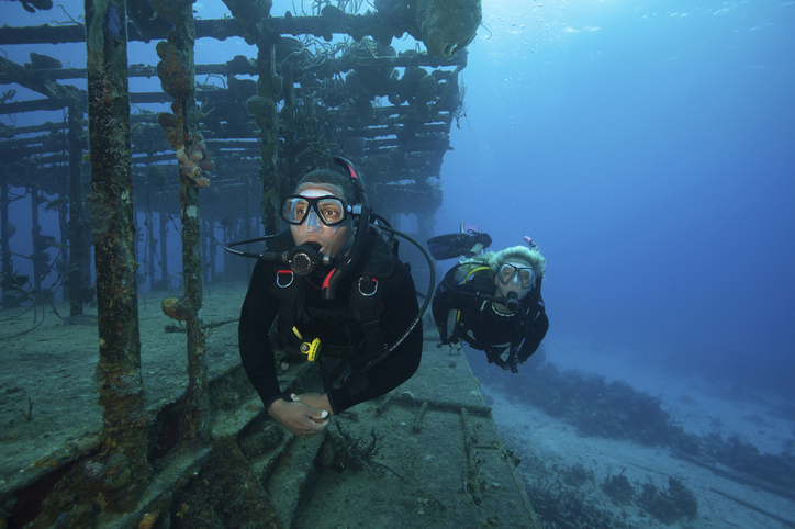 An Ancient Shipwreck Has Been Turned Into an Underwater Museum Off the ...
