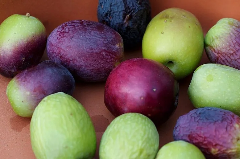 All About the Different Types of Greek Olives | there are several ...