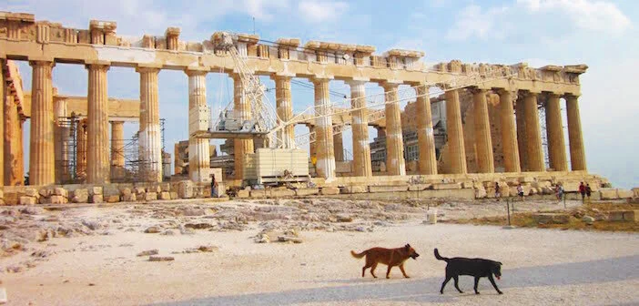 Ancient Greeks Had a Great Love and Respect for Their Dogs | 9 Touching ...