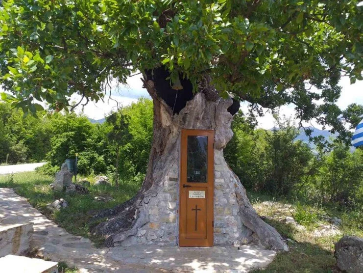 A Hidden Miracle: Konitsa ’s Oldest Tree Has an Amazing Orthodox Chapel ...